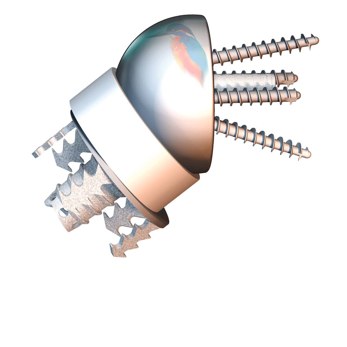 Prótesis de cabeza humeral inversa - EASYTECH® - FX Solutions - no ...