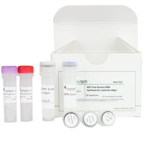 Kit de reactivos retrotranscriptasa - MB170 - NZYTech - para síntesis ...