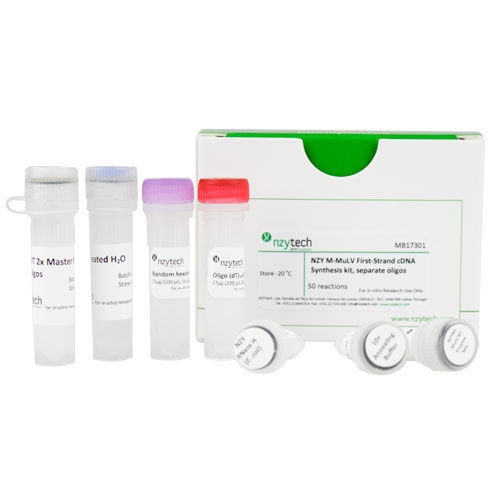 Kit de reactivos retrotranscriptasa - MB173 - NZYTech - para síntesis ...