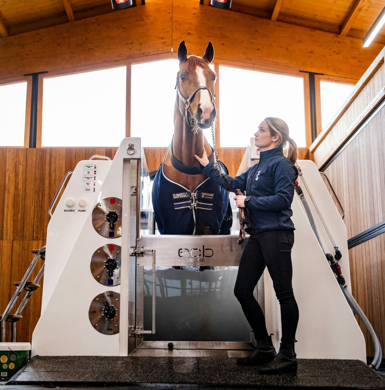 Spa animal para équidos - ECB Equine Spa