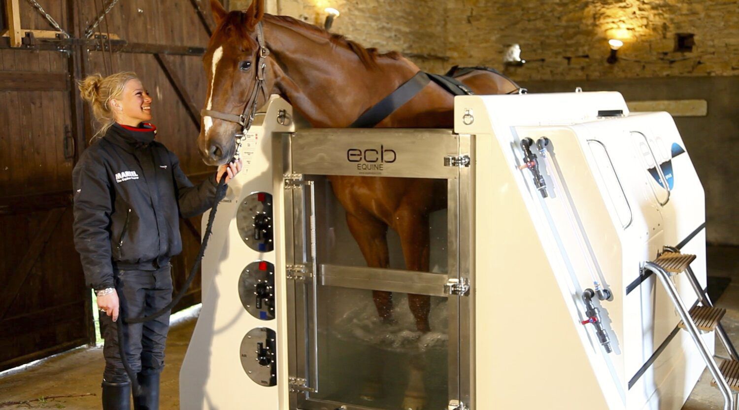 Spa animal para équidos - ECB Equine Spa