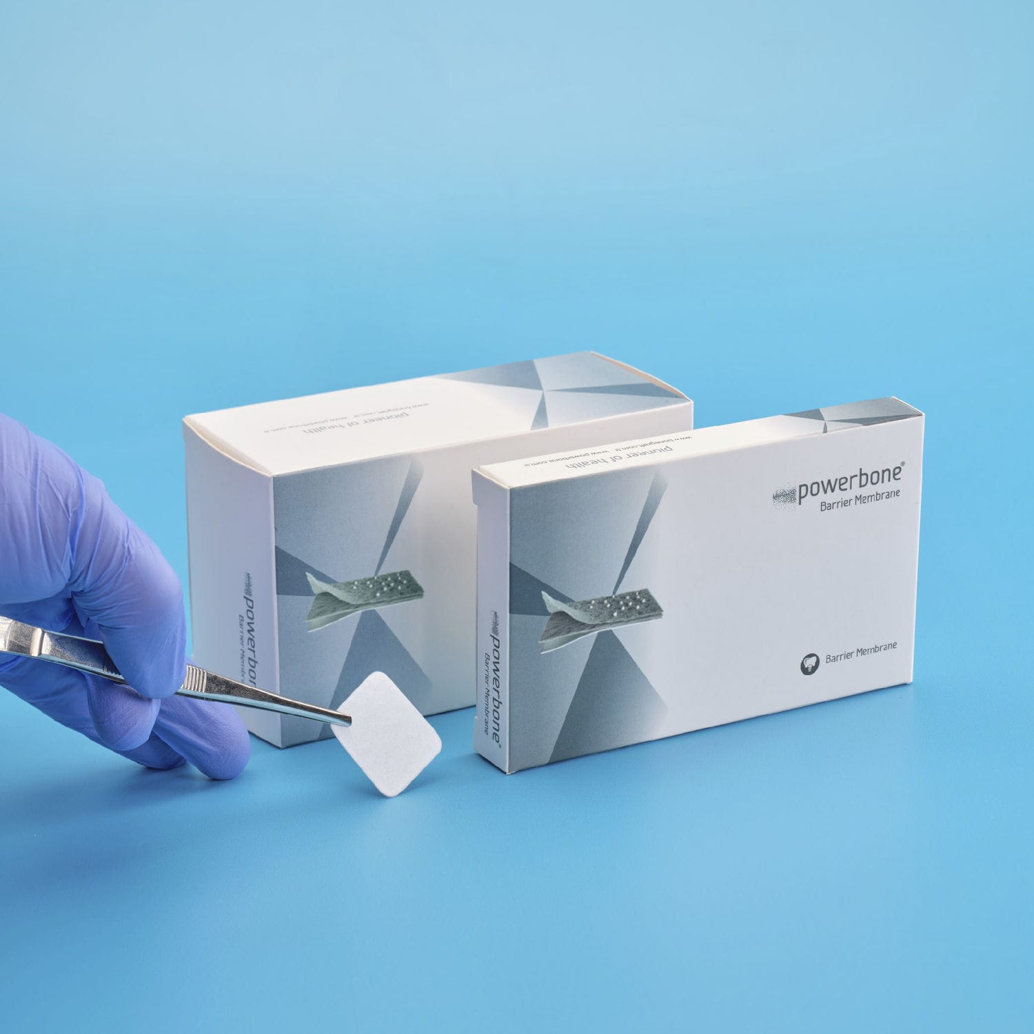 Matriz tisular cirugía dental - Bonegraft Biomaterials - PLA / reabsorbible