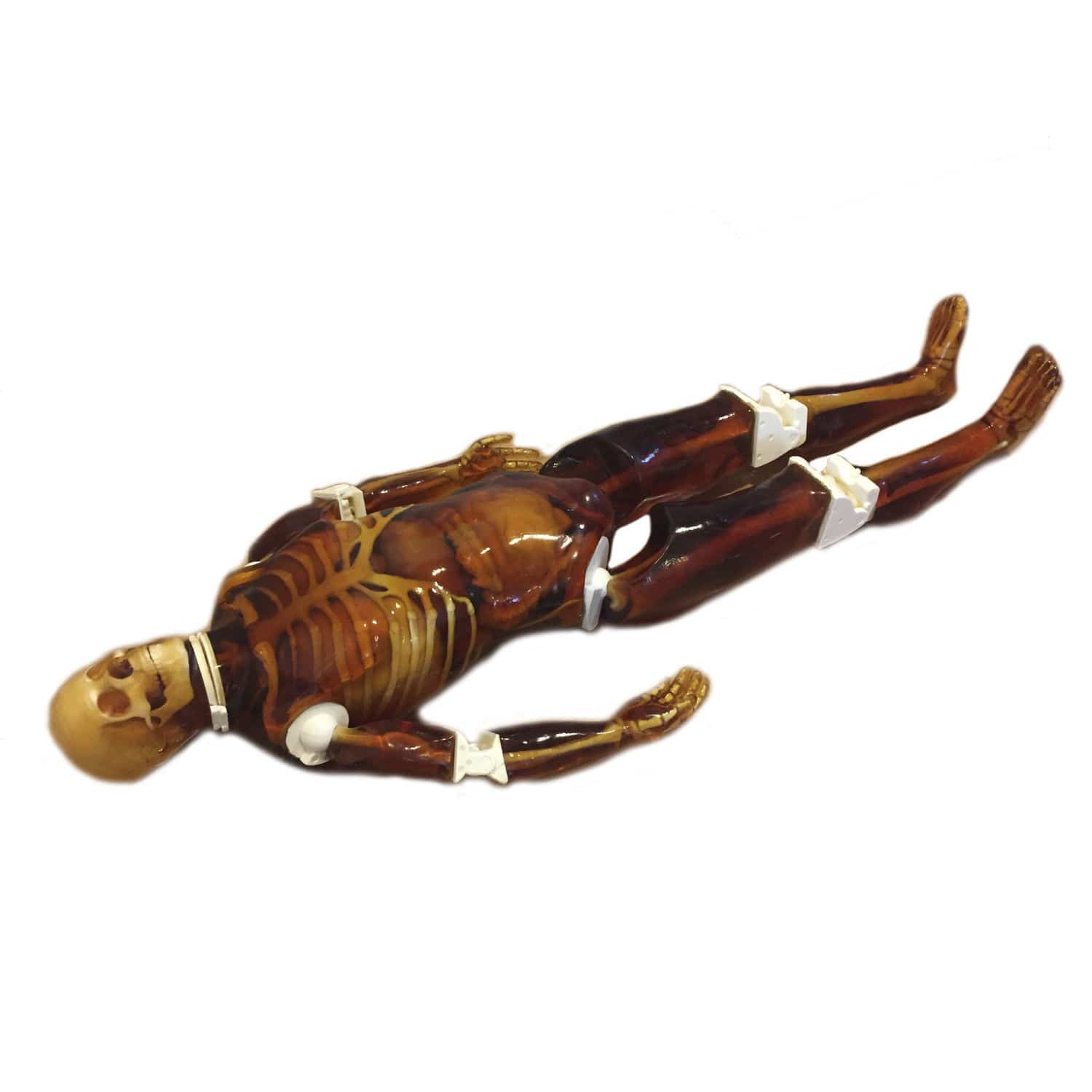 Fantoma de prueba para ecografía - FB-A04 - True Phantom Solutions ...