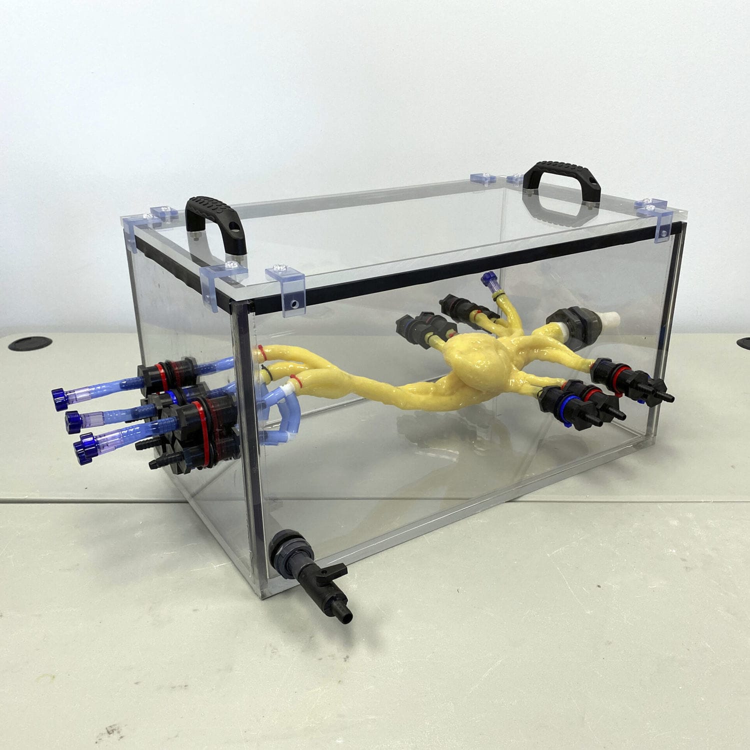 Fantoma de prueba para ecografía - HT-A01 - True Phantom Solutions - para radiología / para ...