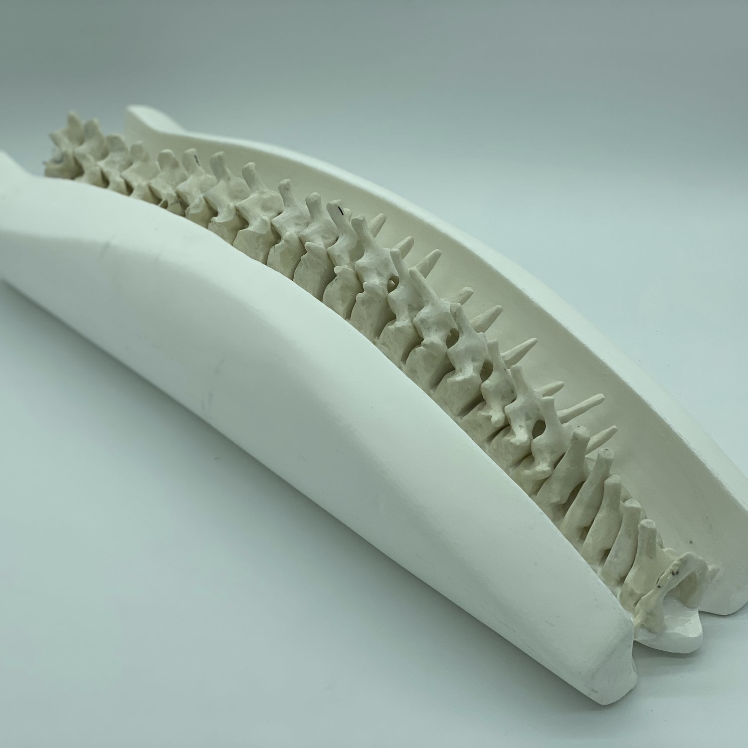 Fantoma de prueba para radiología - SE-A03 - True Phantom Solutions ...