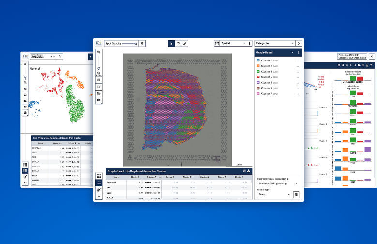 Software de análisis - 10xgenomics - de visualización / de biología ...