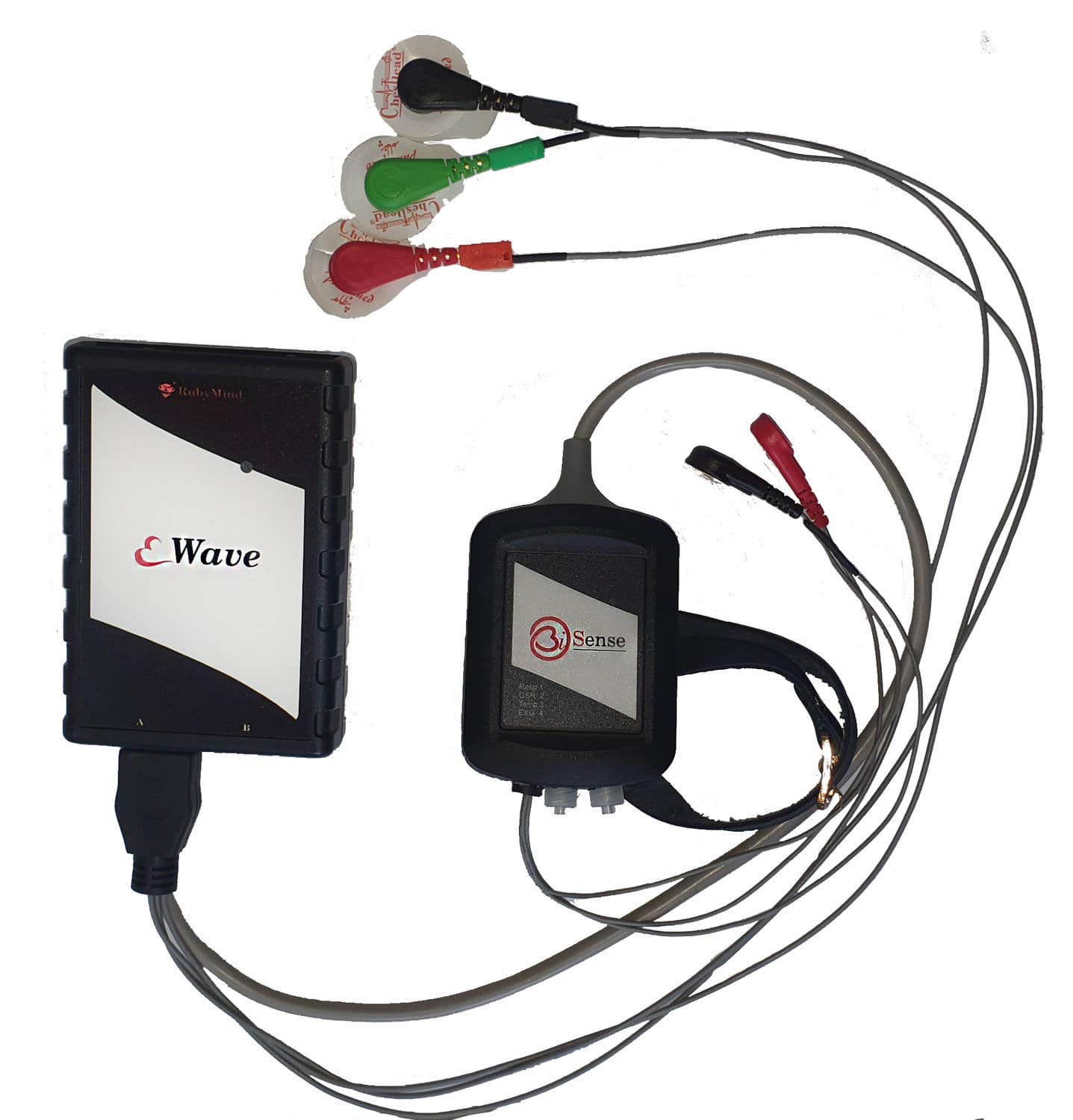 Electromiógrafo 8 canales - ScienceBeam - inalámbrico / con biofeedback