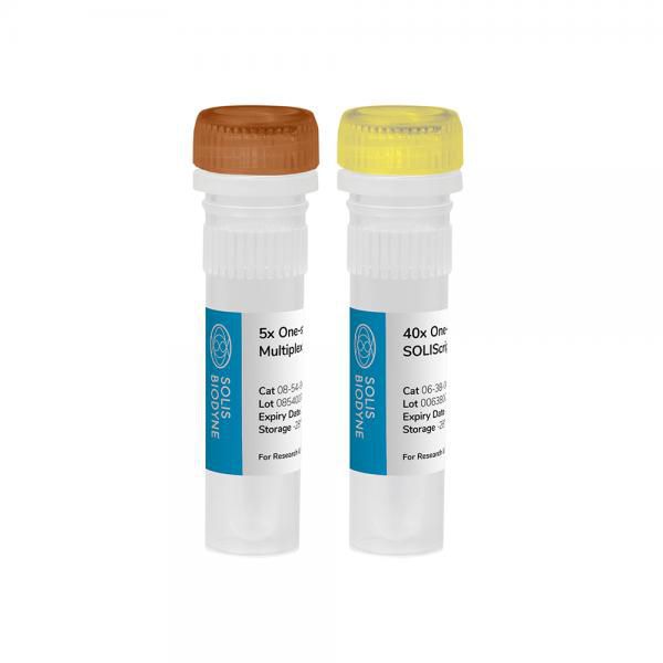 Kit de reactivos en solución - SOLIScript® 1-step Multiplex Probe ...