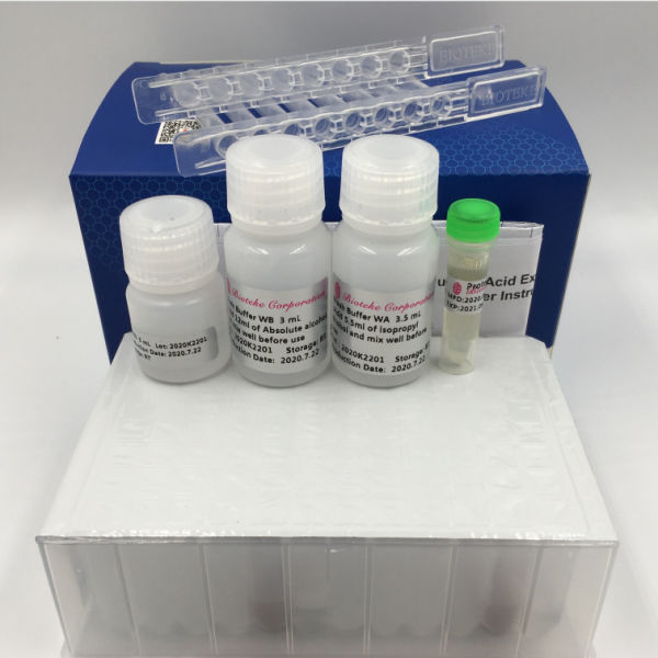 Kit de reactivos ADN polimerasas - PR681 Series - Bioteke Corporation ...
