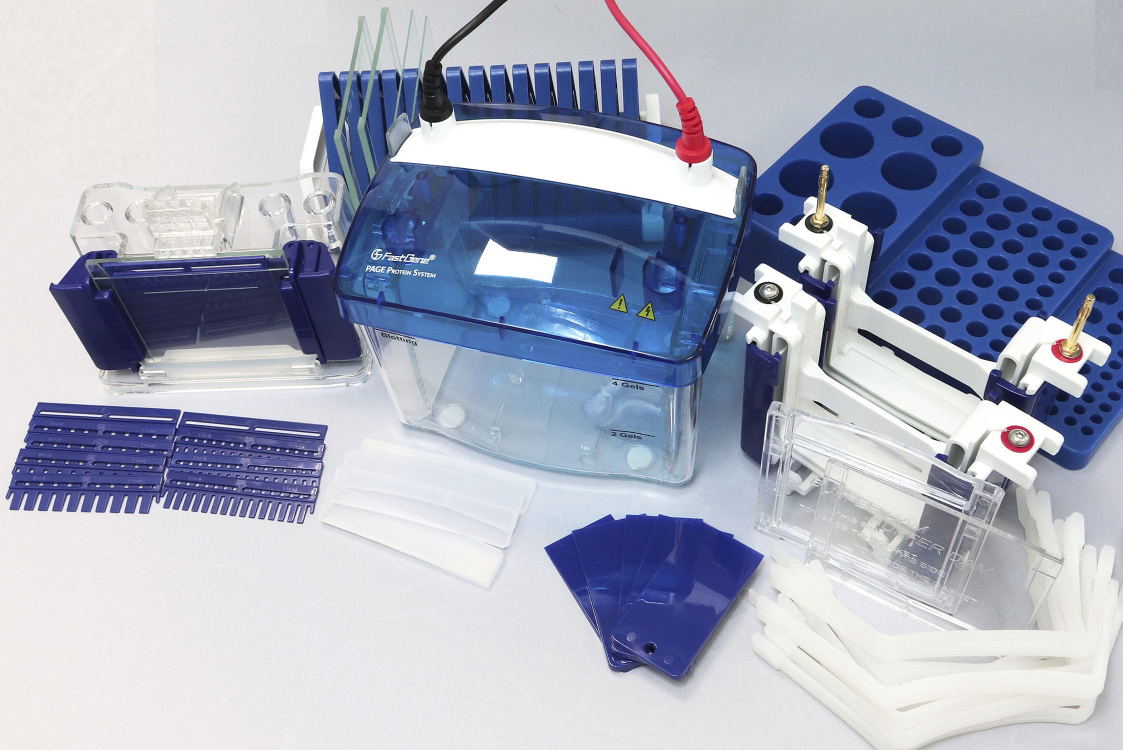 Sistema de electroforesis para proteínas - FastGene - Bulldog Bio, Inc ...