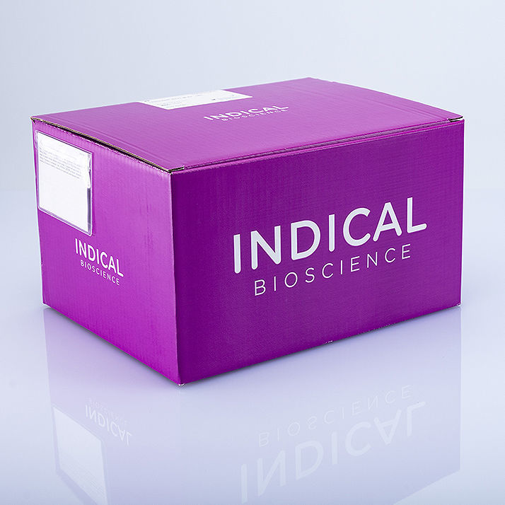 Kit de prueba veterinario - BioSprint 96 - INDICAL BIOSCIENCE - de ...