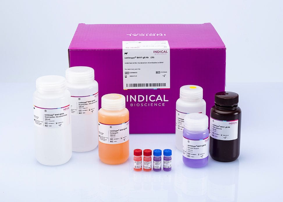 Kit de prueba de herpes - cattletype - INDICAL BIOSCIENCE - para ...