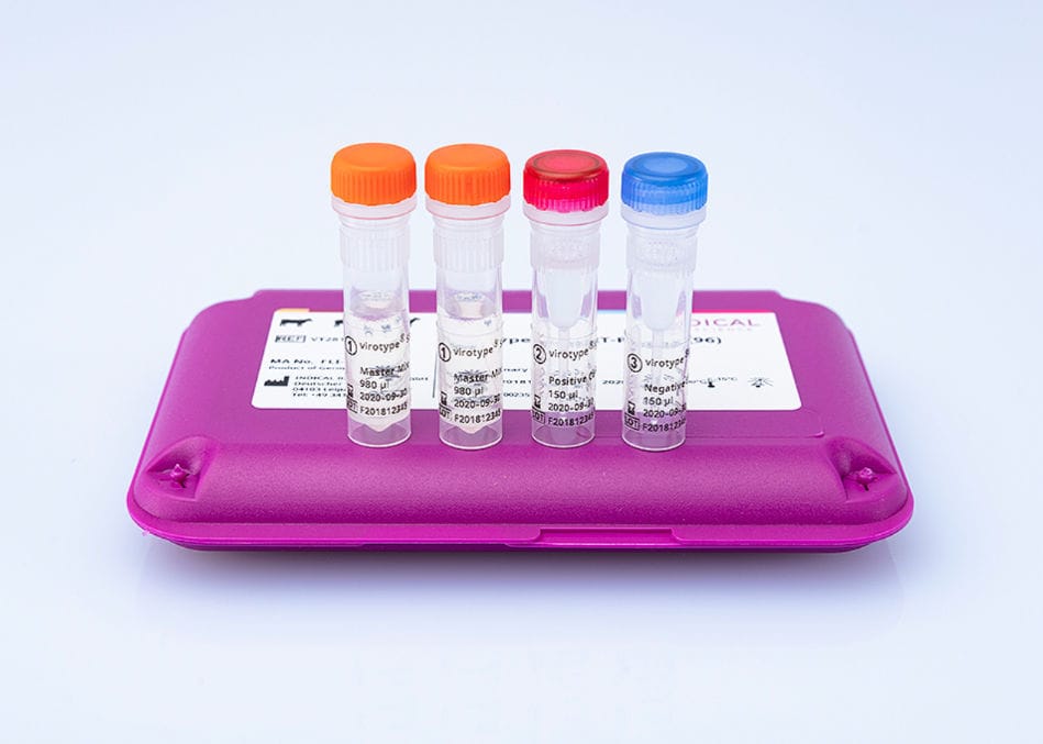 Kit de reactivos en solución - virotype SBV - INDICAL BIOSCIENCE ...