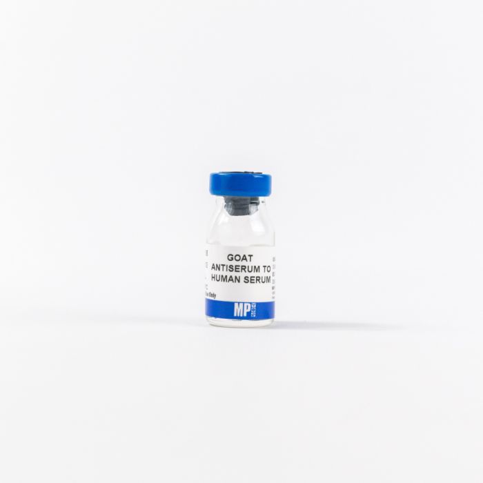 Reactivo anticuerpo policlonal - 0855136 - MP Biomedicals - antisuero ...