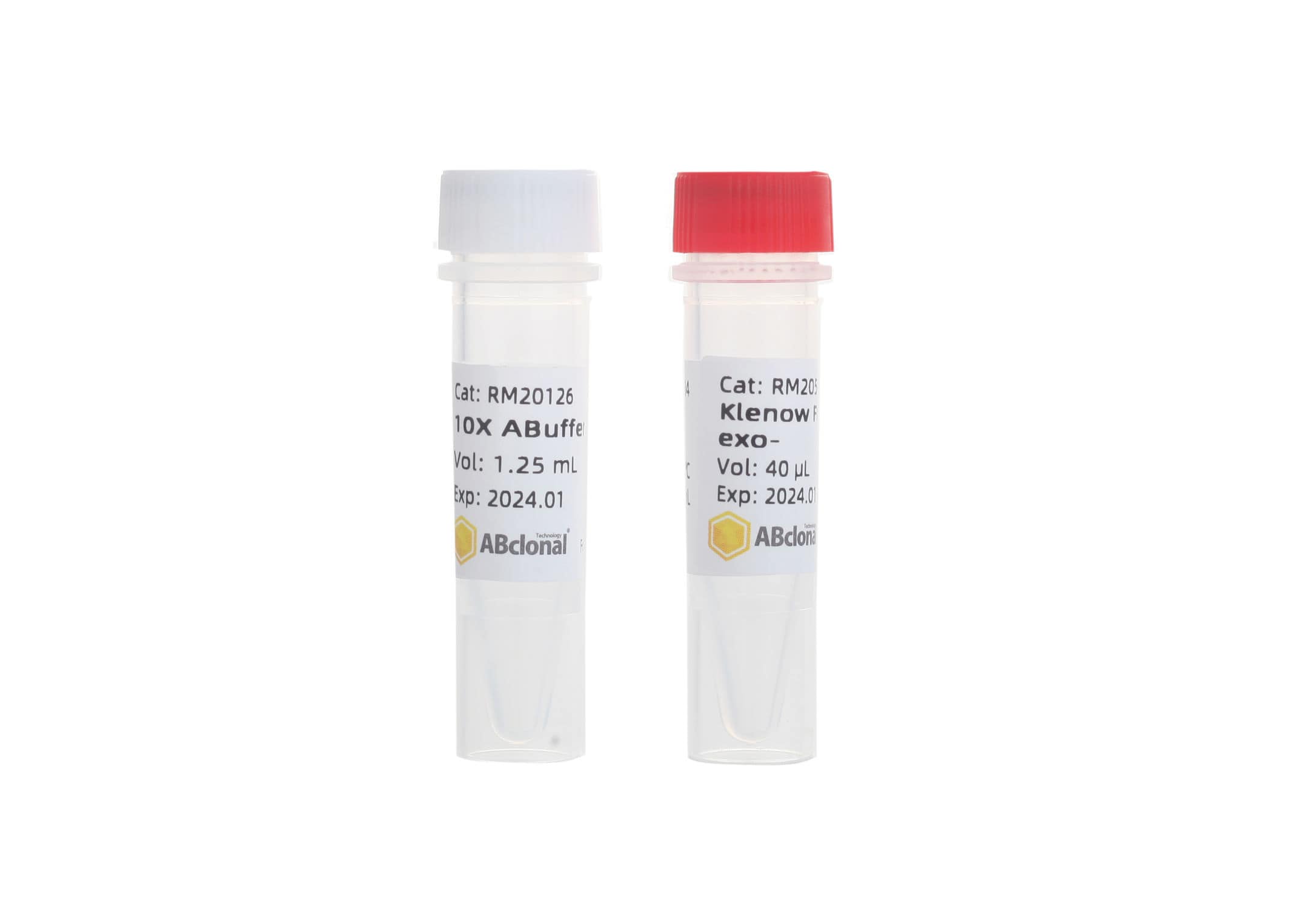 Reactivo ADN polimerasas - RK20526 - ABclonal Technology - para PCR ...