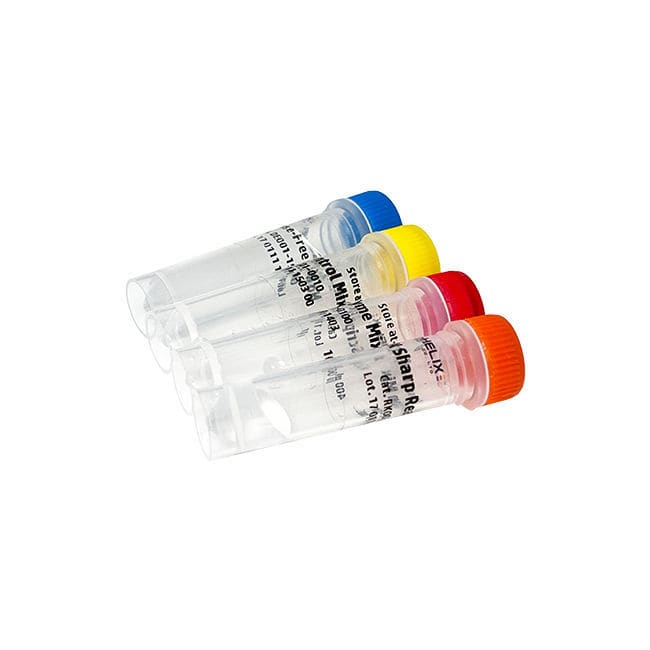 Kit de reactivos enzima - RScript™ - Bio-Helix - retrotranscriptasa ...