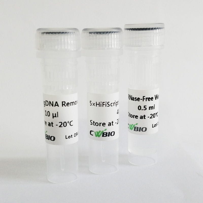 Reactivo enzima - HiFiScript - Jiangsu CoWin Biotech Co.,Ltd ...