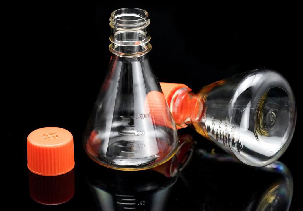 Matraz de cultivo celular - MGN-C10 - MyGenostics Inc. - Erlenmeyer ...