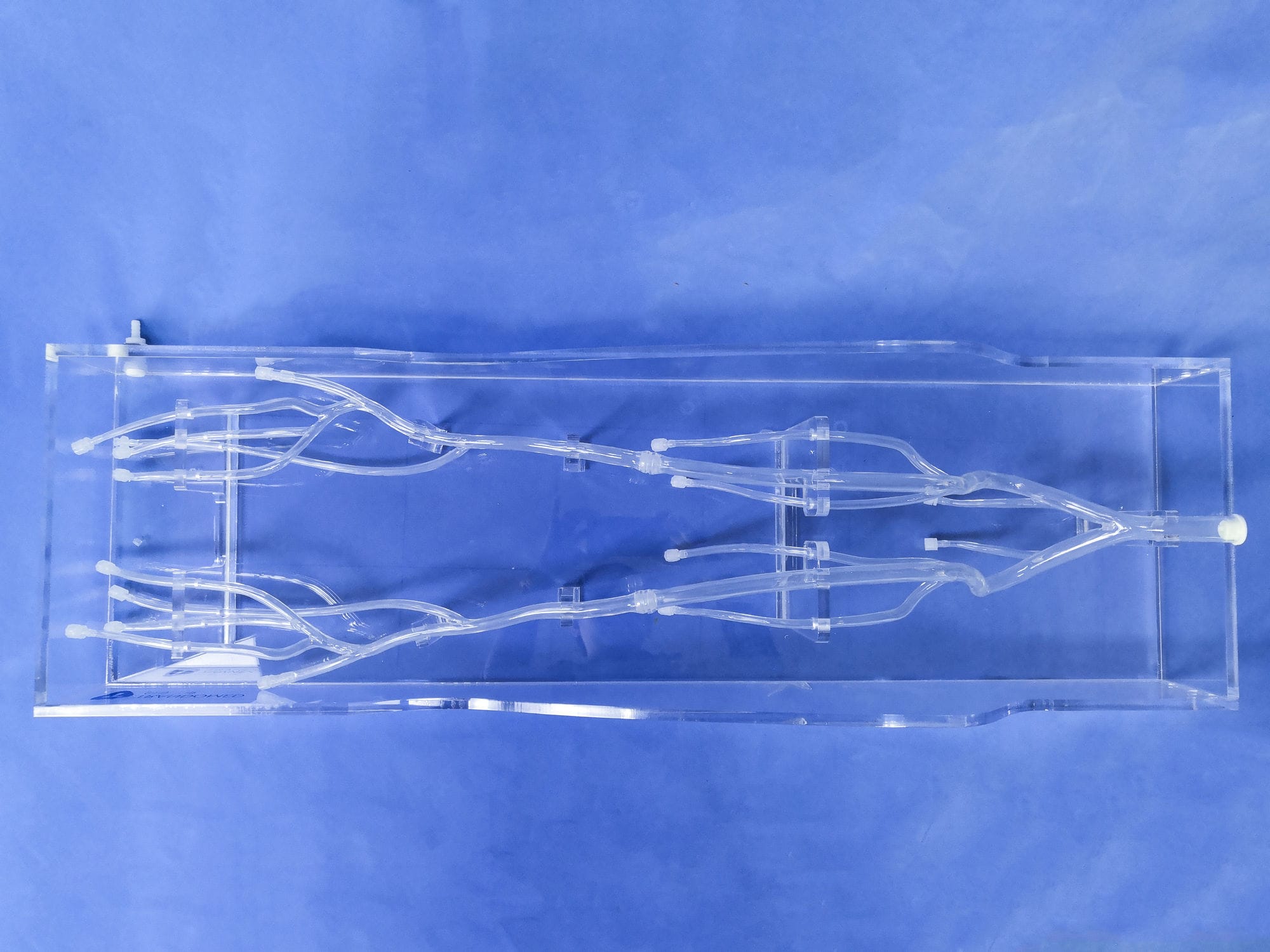 Modelo anatómico de vena - XZJ001 - Trando 3D Medical Technology - de ...
