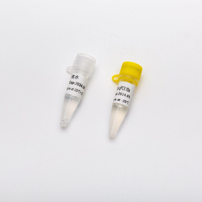 Reactivo polimerasa Taq - HS - Guangzhou Dongsheng Biotech Co., Ltd ...