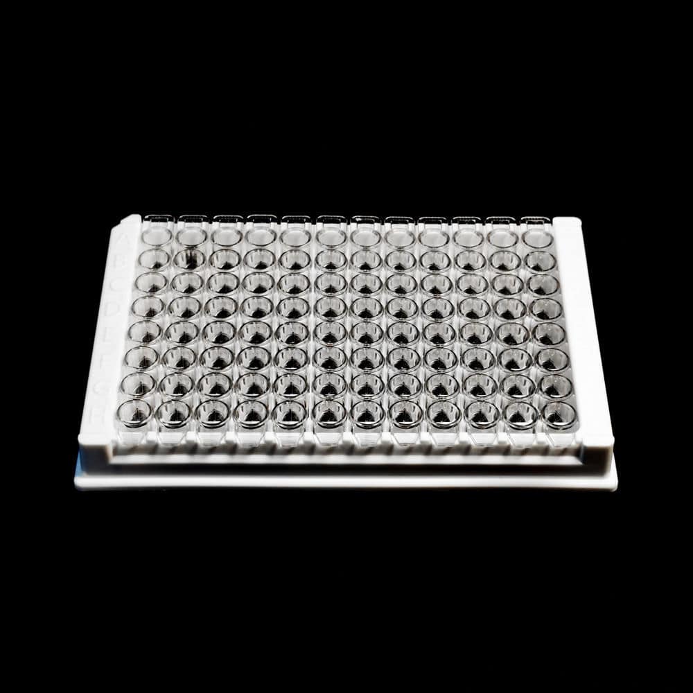Microplaca ELISA - ESP-96-D - Servicebio - de laboratorio / de 96 orificios / desechable