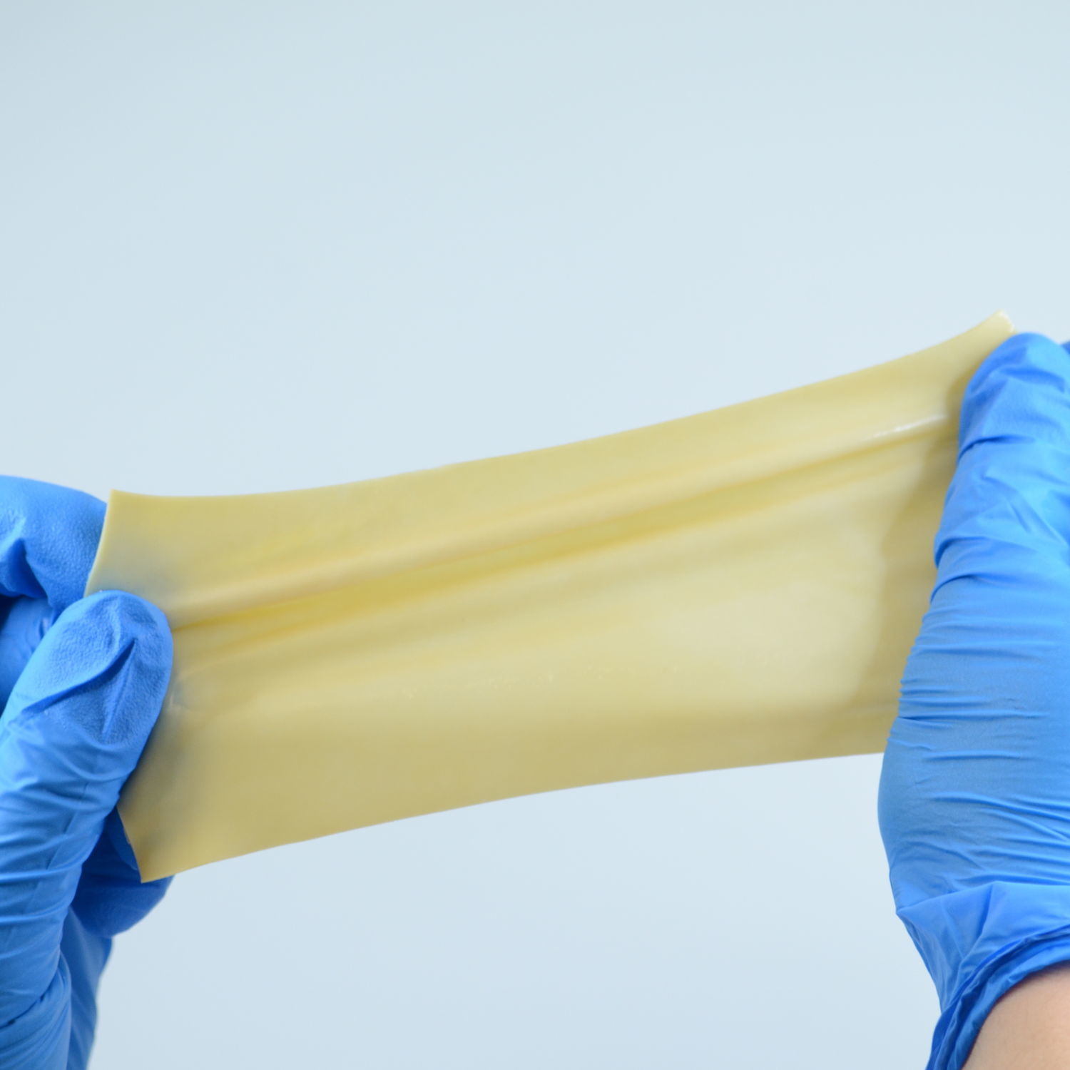 Matriz tisular cirugía ortopédica - Invengenx® - Tisgenx - cirugía ...