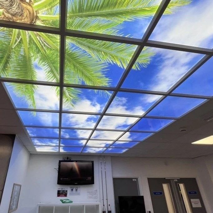 Panel LED de hospital - Aspire - de pared / empotrable / con animación ...