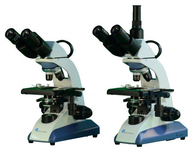 Microscopio de formación - FLArQ TRINO - Breukhoven - óptico ...