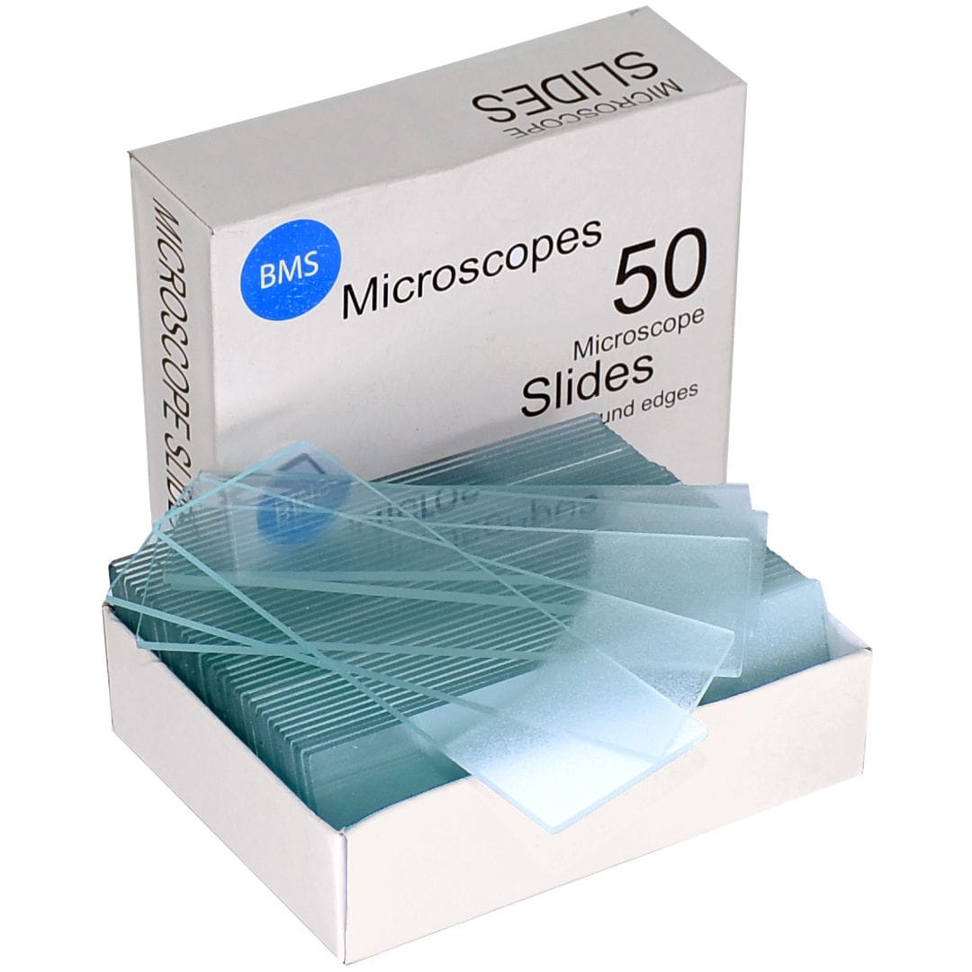 Portaobjetos - 12289 - Breukhoven