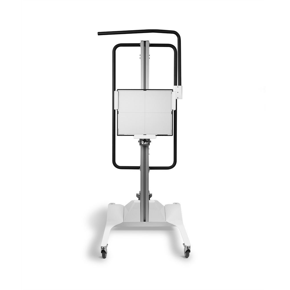 Potter-Bucky con ruedas - DMS Imaging - con sensor plano