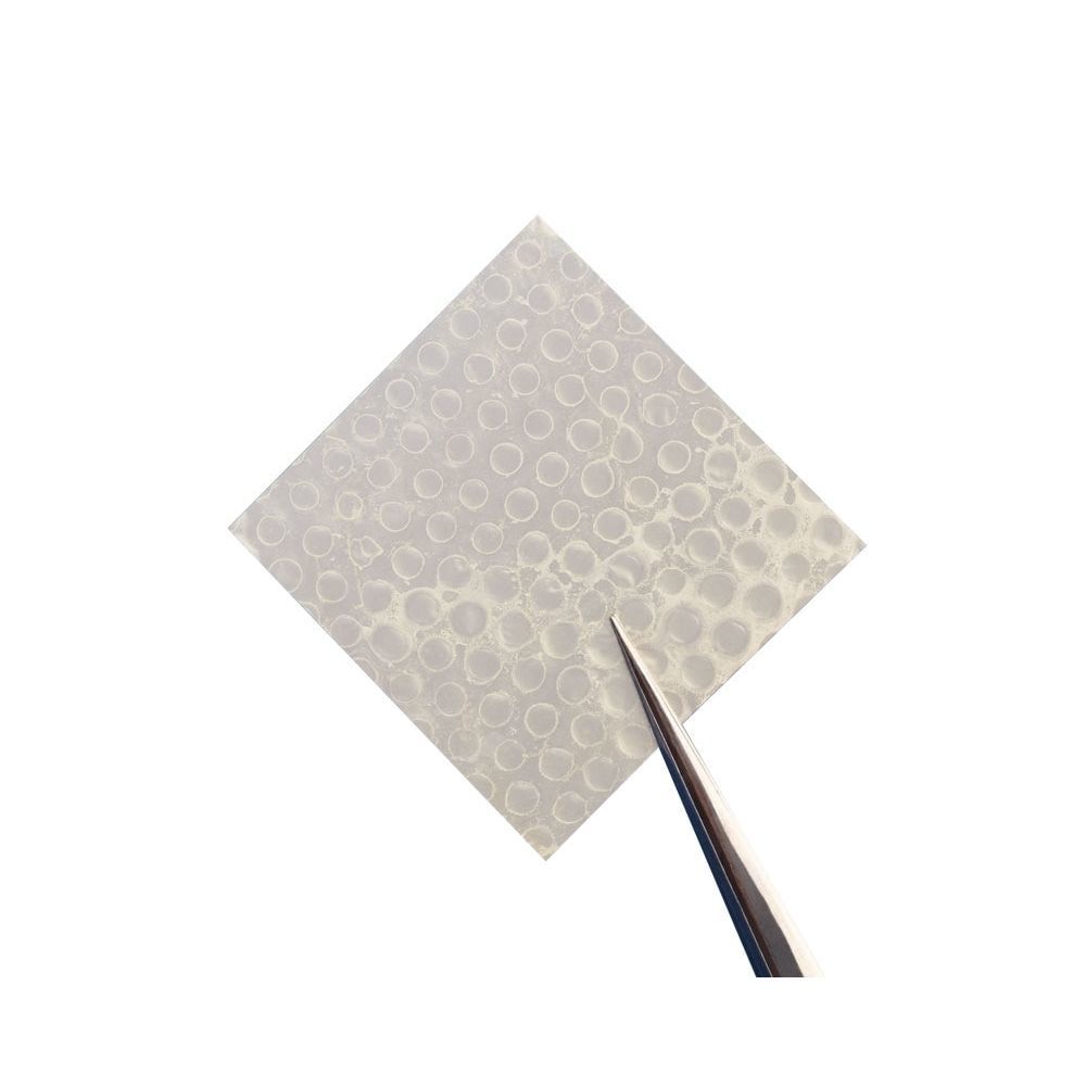 Matriz tisular cirugía reconstructiva - AmnioExcel® Plus - Integra ...