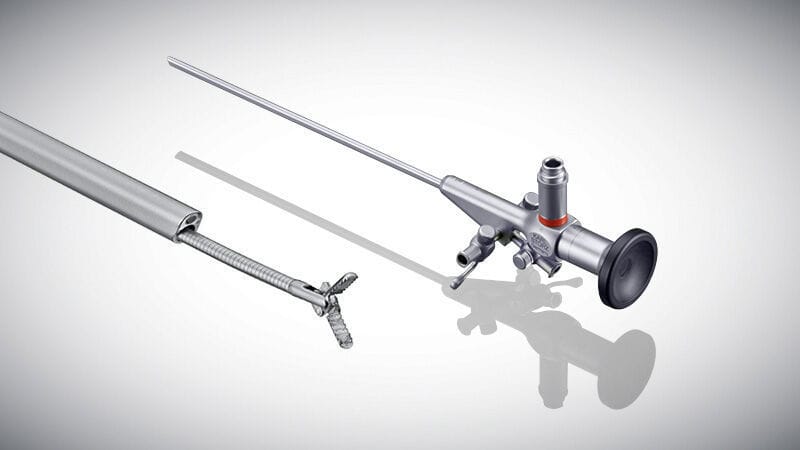 Coledocoscopio veterinario para animales pequeños - KARL STORZ