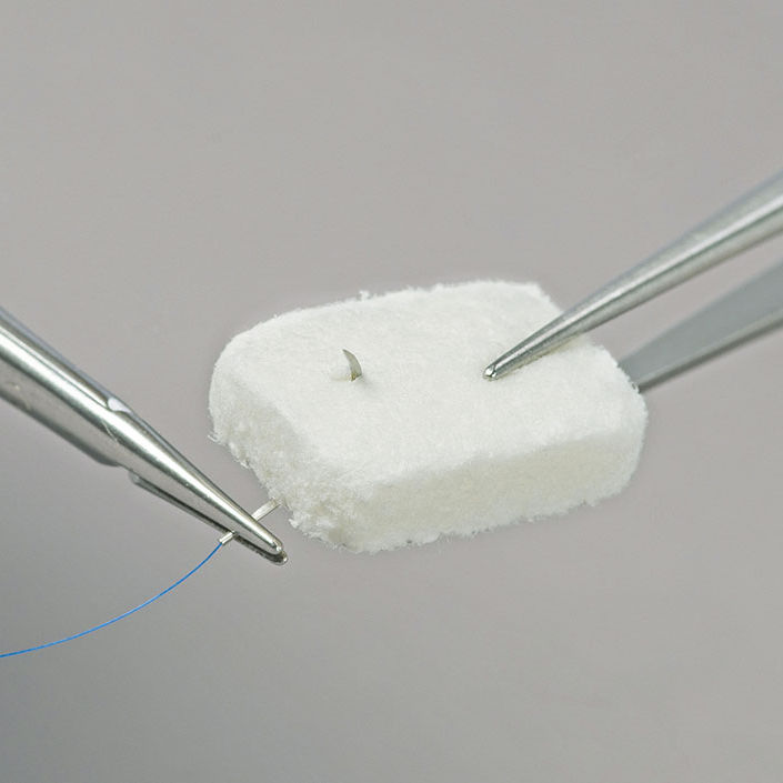 Matriz tisular cirugía dental - Fibro-Gide® - Geistlich Pharma ...