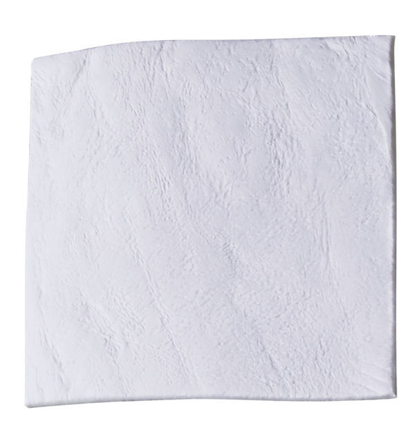 Matriz tisular cirugía dental - Evolution - Tecnoss Dental - colágeno ...