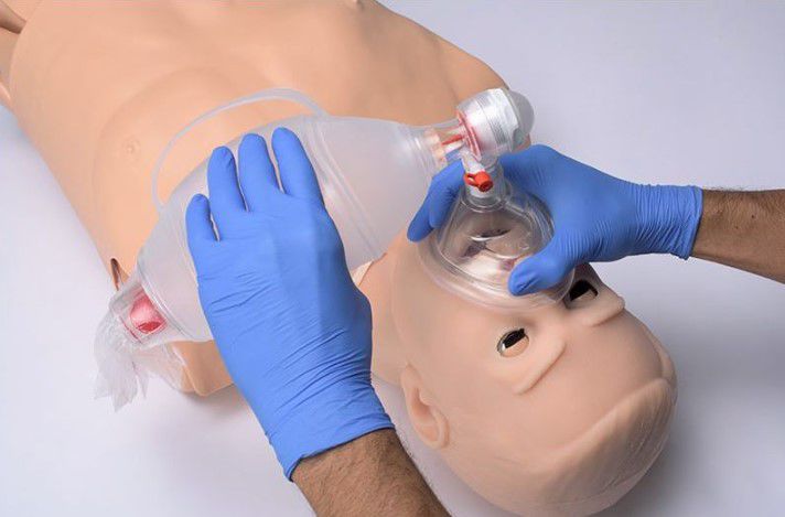 Simulador para la gestión de las vías respiratorias - HAL® S315 ...