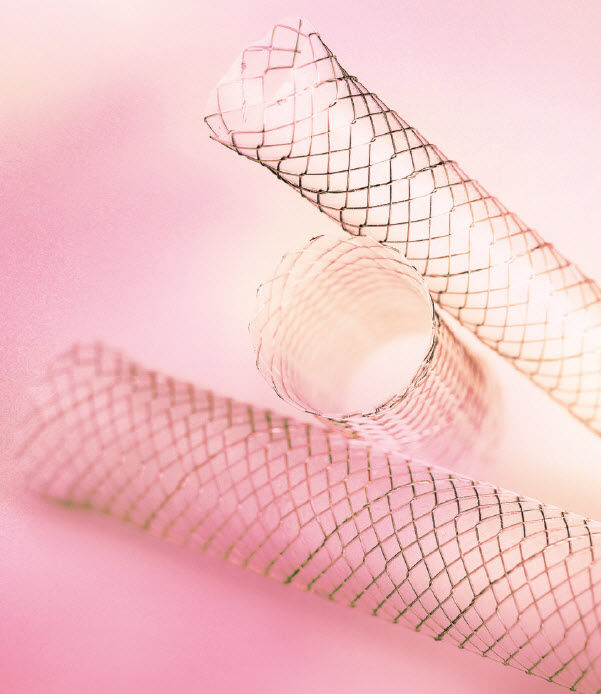 Stent traqueal - Bonastent - Asept Inmed - bronquial