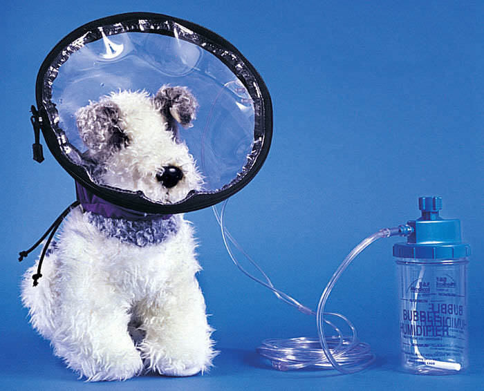 Campana de oxígeno veterinaria - Oxyhood - Jorgensen Laboratories