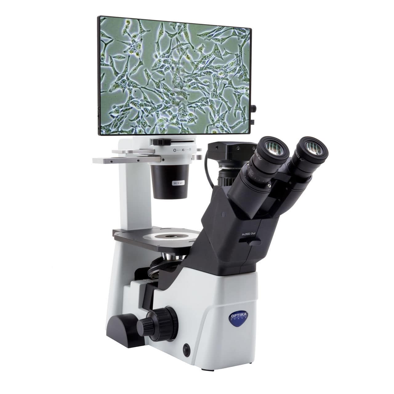Microscopio óptico - IM-300D - Optika Italy - digital / de laboratorio ...