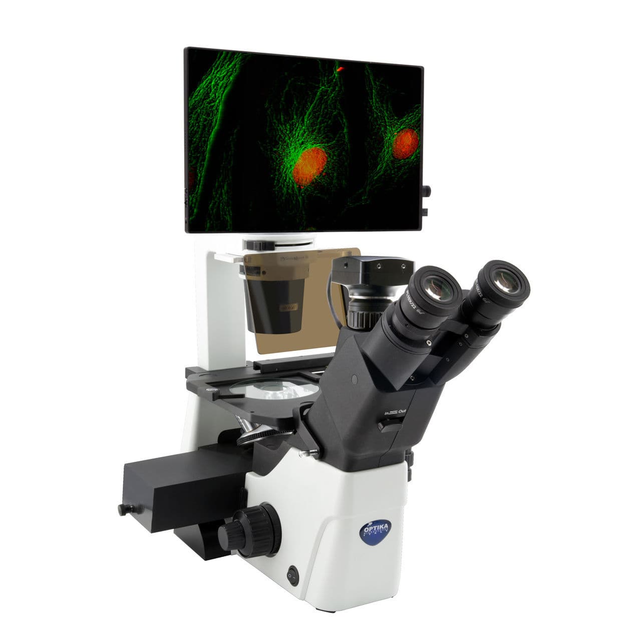 Microscopio óptico - IM-300LD4D - Optika Italy - digital / de ...