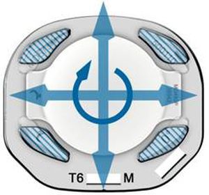 Prótesis de disco lumbar - Mobidisc® - LDR Medical - Vídeos