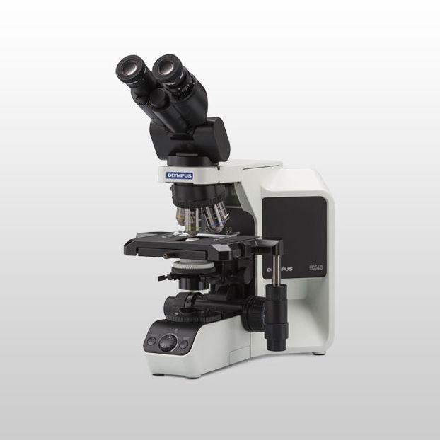 Microscopio recto - BX43 - Evident - Olympus Scientific Solutions ...
