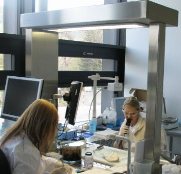 Estación de trabajo de laboratorio de macroscopia - MA-0087 - MEDIS ...