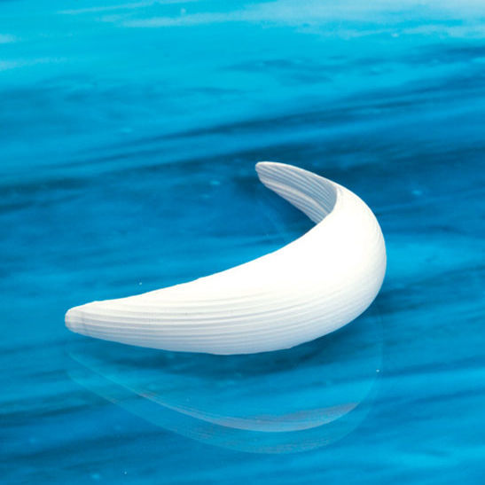 Implante de mentón - ESEC-S - Implantech - anatómico / ePTFE