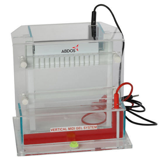 Sistema de electroforesis manual - E12276 - ABDOS LABTECH PRIVATE LIMITED. - de mesa / vertical
