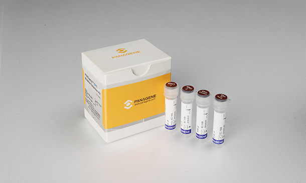 Kit de prueba para el cáncer - PNACIamp™ - Panagene Inc. - de oncología ...