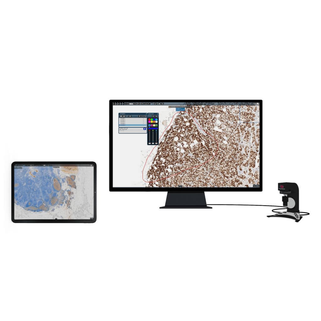 Software visualizador - SlideViewer - 3DHISTECH Ltd. - de diagnóstico ...