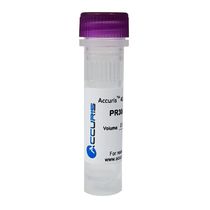 Reactivo para PCR, Kit de reactivos para PCR - Todos los fabricantes de ...