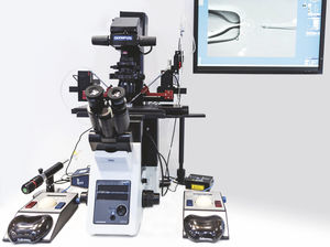 Micromanipulador manual - Todos los fabricantes de dispositivos médicos ...