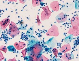 Kit de reactivos colorante - Celnovte Biotechnology Co., Ltd ...