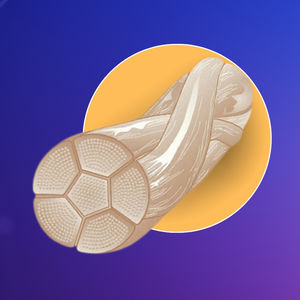 Hilo de sutura reabsorbible - Medoks - SKY Biotechnology - cirugía ...